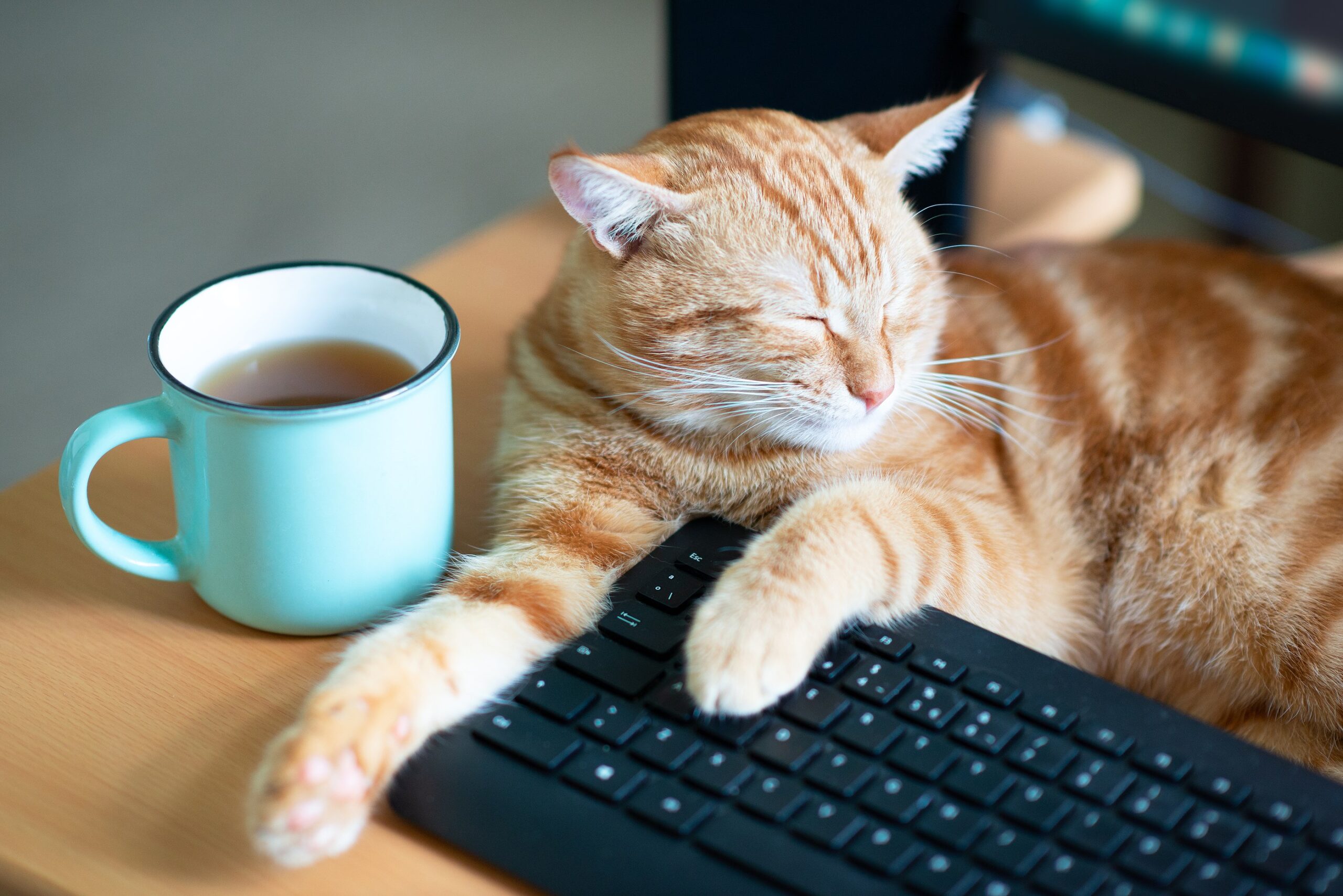 The WFH Revolution! Working from home must become the new 'normal ...